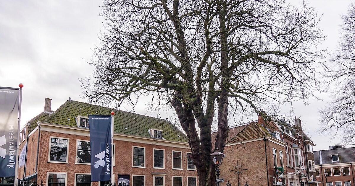 Kunstproject in Oud-Rijswijk ter ere van tachtig jaar vrijheid ...