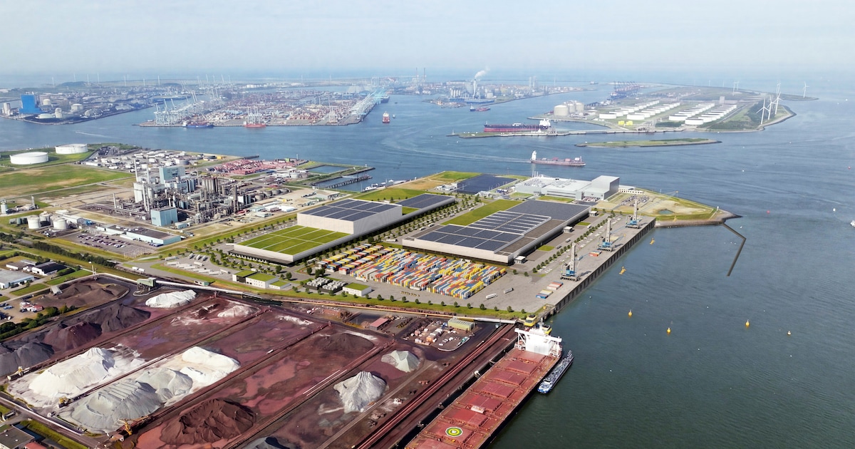 Rotterdamse haven krijgt ‘voedselhub’ ter grootte van 53 voetbalvelden ...