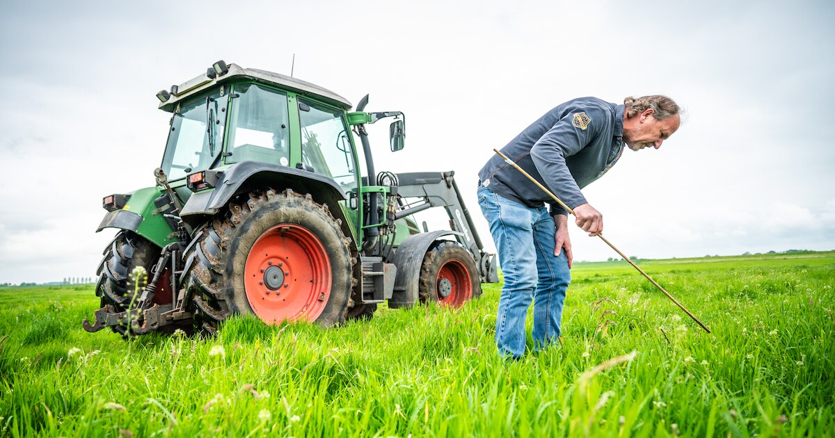 Uren speurt hij op zijn trekker naar nesten in weiland: Gert-Jan ...