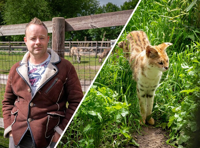 Ruben over zijn exotische 'Ark van Noach': 'Alleen al een stokstaartje ...