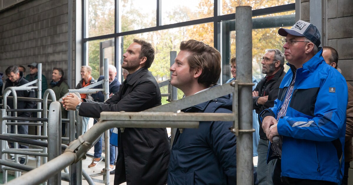 Kamer wil dat kabinet opkoop stikstofruimte door Schiphol stopt: ‘Maak ...