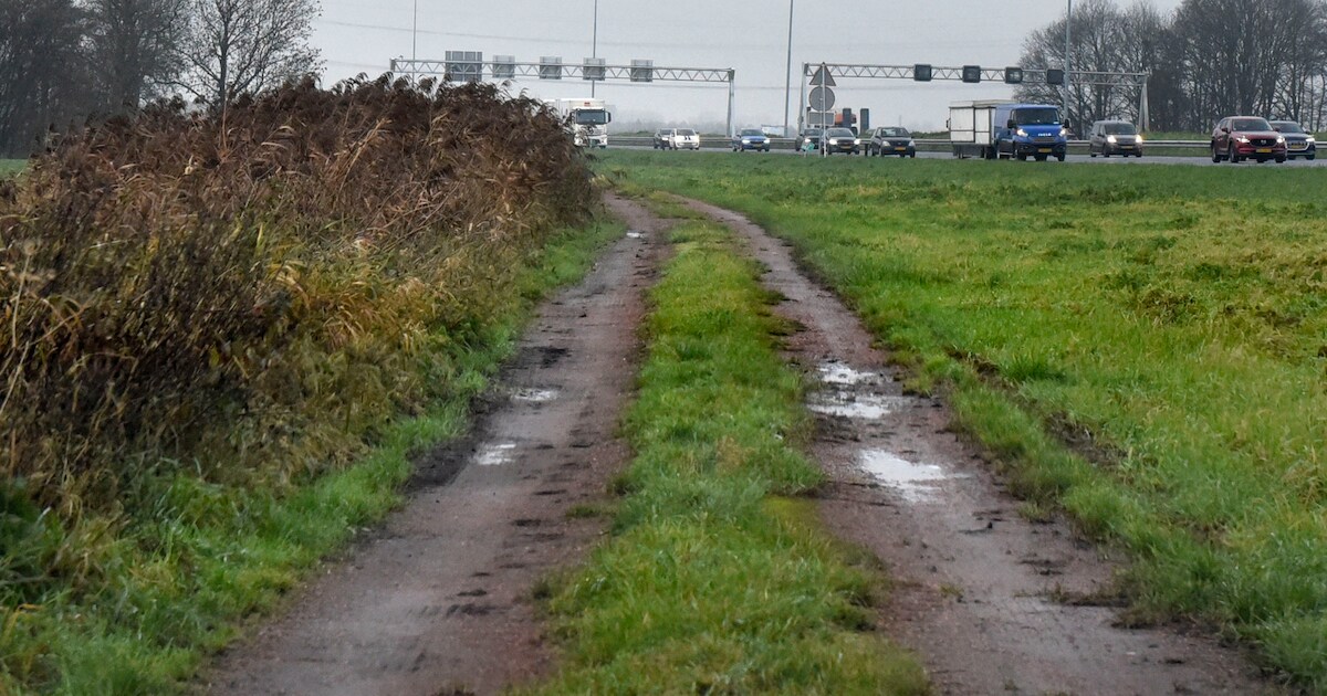 Ineens twéé aanvragen voor een zonnepark (maar slechts eentje mag door ...