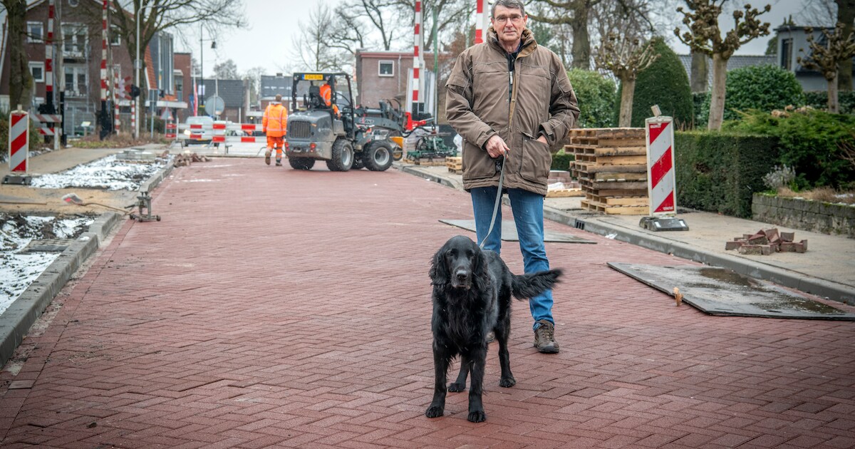 Hond van Cor rochelt na wandeling in Eerbeek: ‘Zou het de weg zijn ...