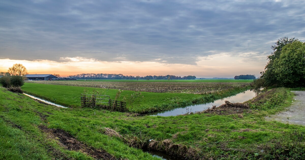 Wel of niet vóór 2035 woningen bouwen in de polder Rijnenburg ...