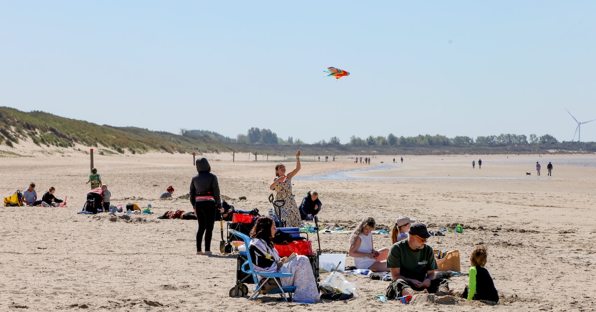 Lijn 803 verbindt Spijkenisse met Rockanje Strand | Regio | AD.nl