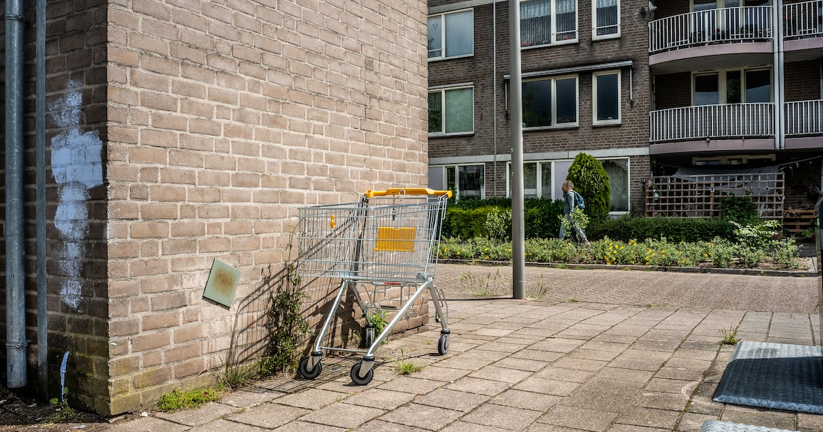 Veranderen Kronenburg en andere wijken steeds meer ‘in een getto’? Dit ...