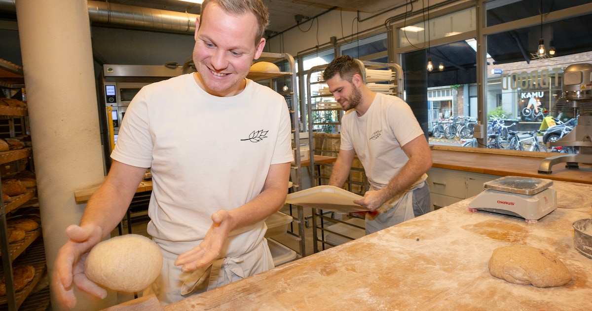 Het beste brood heeft geen broodverbeteraar nodig, alleen water, bloem ...