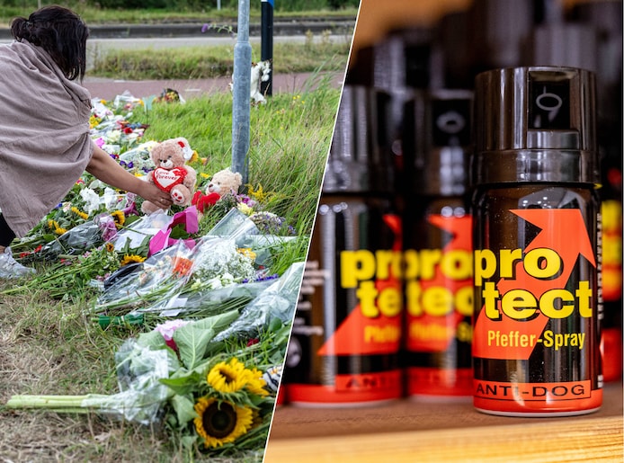 Minister Van Weel noemt verdachte moord Lisa (17) ‘een monster’ en denkt na over nieuwe wetten ...