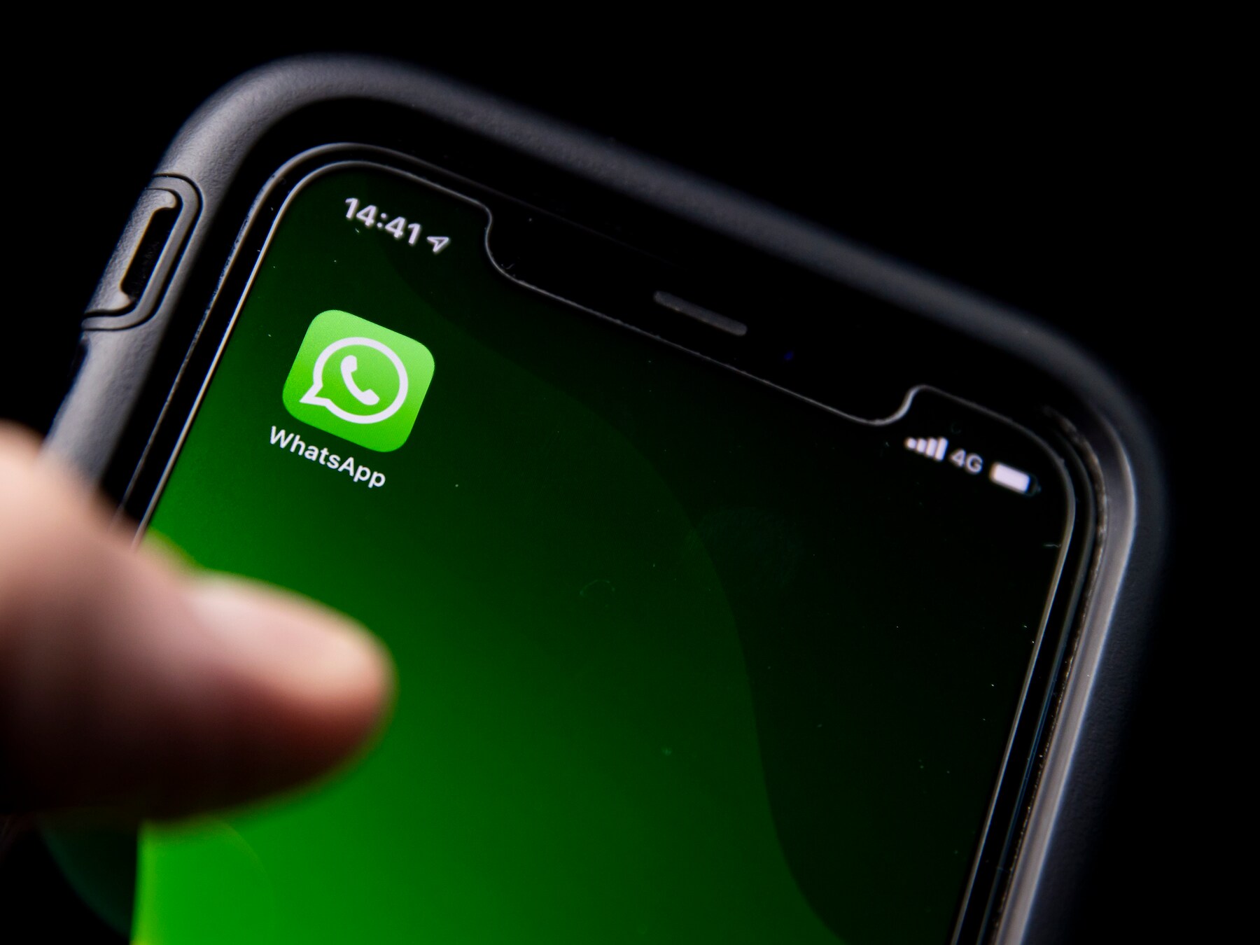 Moet Nederland bully XL ook verbieden? ‘Dat een hond sterke kaken heeft ...