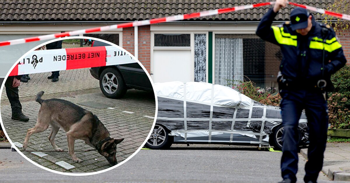 Onderzoek naar twee Amersfoortse liquidaties van bijna tien jaar ...