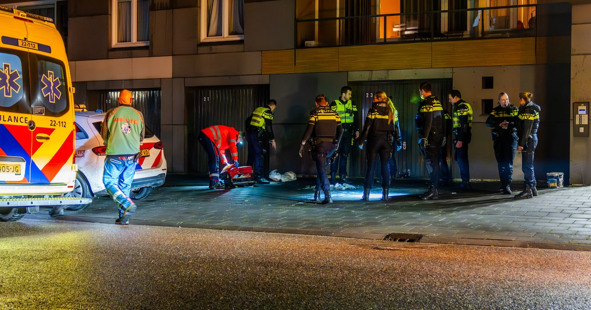 Man (38) uit Geldrop overleden na aanhouding: agenten niet vervolgd ...