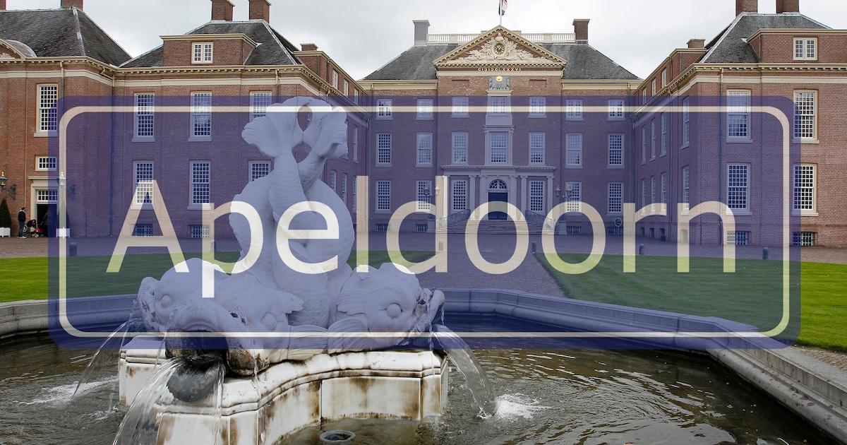 Steekproef | Apeldoorn | AD.nl