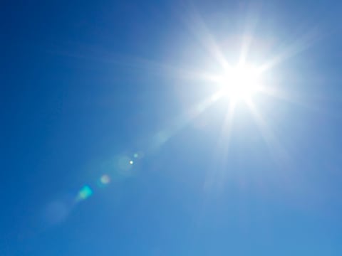Meerdere maatregelen in Westland vanwege hitte: markten en ...