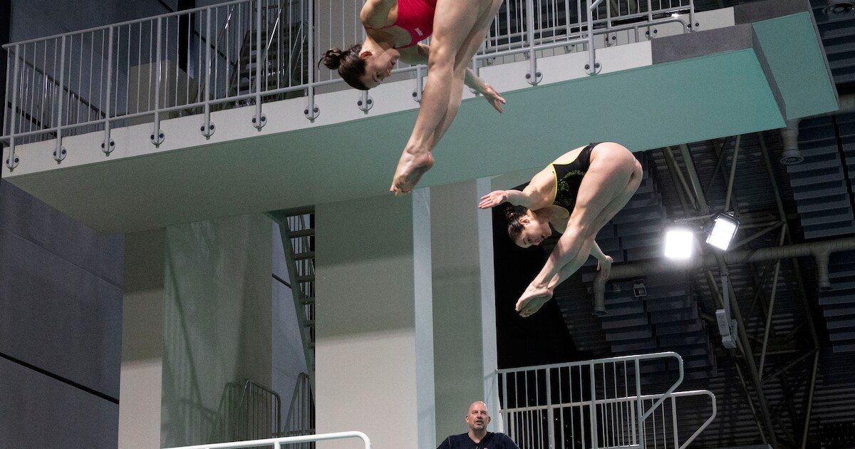 Edwin Jongejans weg als bondscoach van de schoonspringers, Ramon de Meijer de opvolger | Sport ...