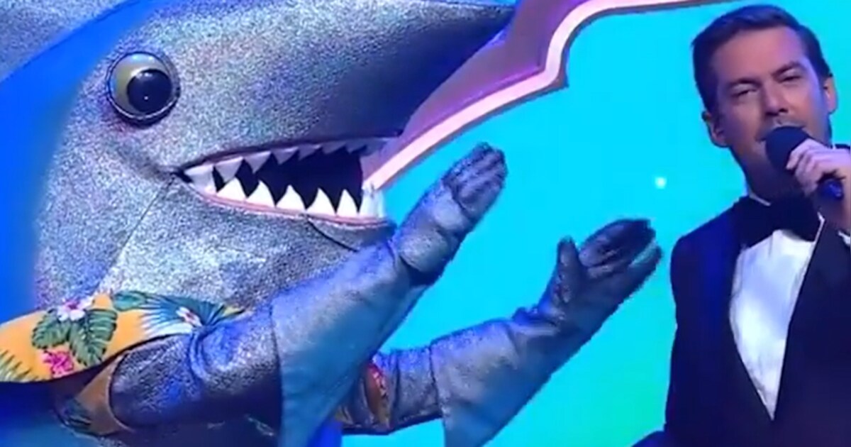 Pakken Masked Singer-finalisten geveild voor het goede doel | Show | AD.nl