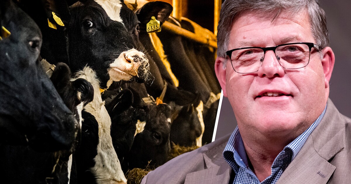 PAS-melders niet op tijd gelegaliseerd? Dan komt de stichting van Jan ...