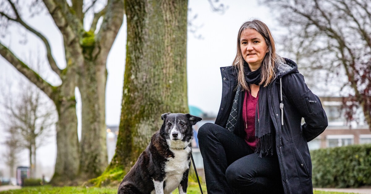 Karins reddingsactie voor bomen is mislukt: ‘Mensen beseffen niet hoe ...