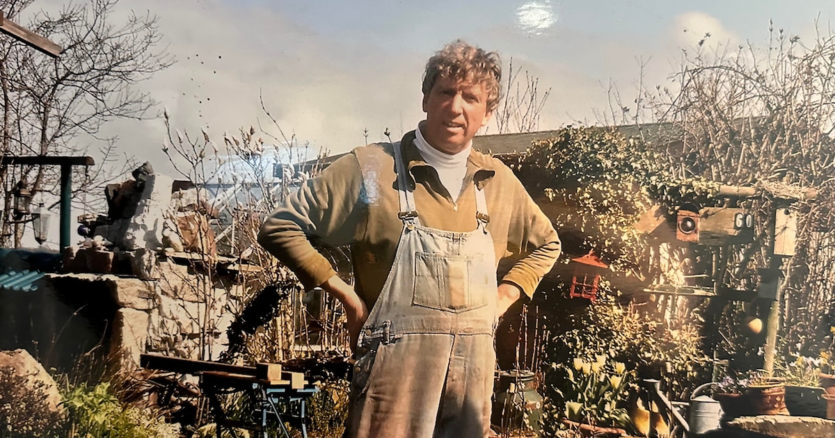 Na een auto-ongeluk en maanden in een gipsbed werd Martin (1952-2025 ...