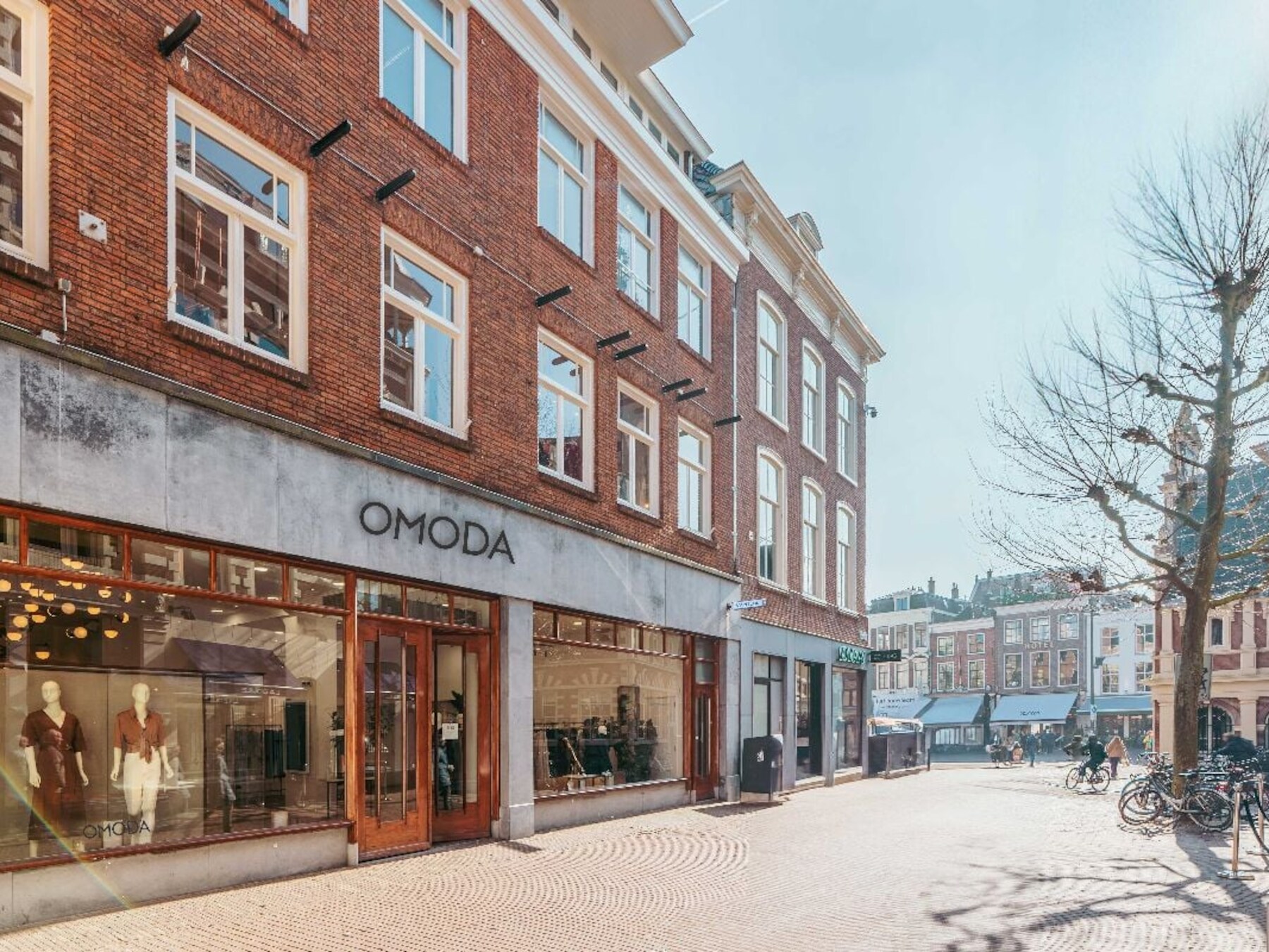 Vogels spotten in Haarlem: bijna tweehonderd verschillende soorten te ...