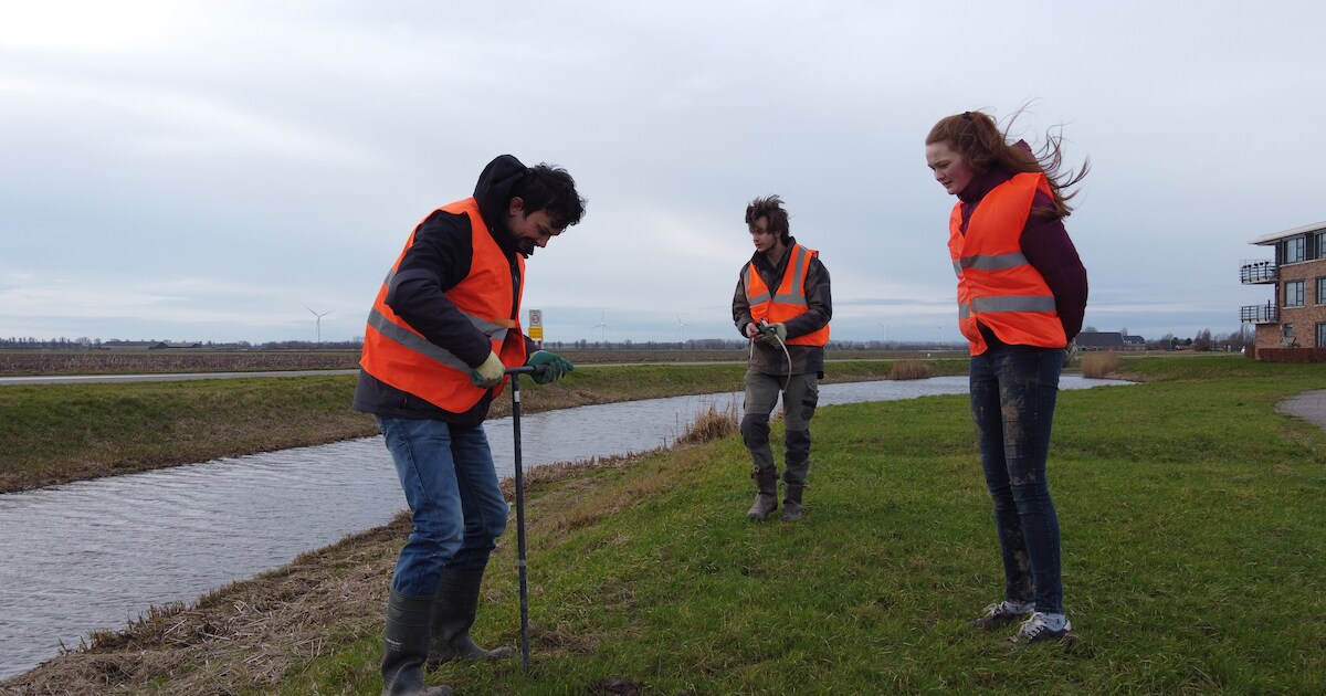 HWZoemt plant bomen en struiken langs de Randweg in Strijen voor ...