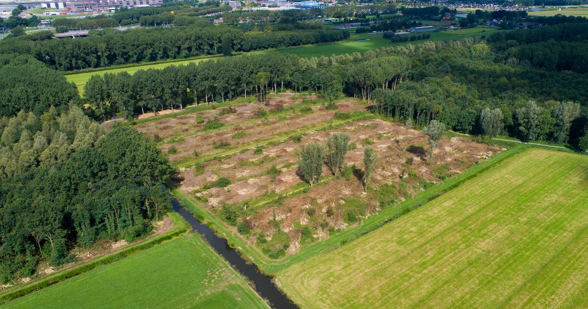 Landbouwgrond dreigt uitgeput te raken | Binnenland | AD.nl