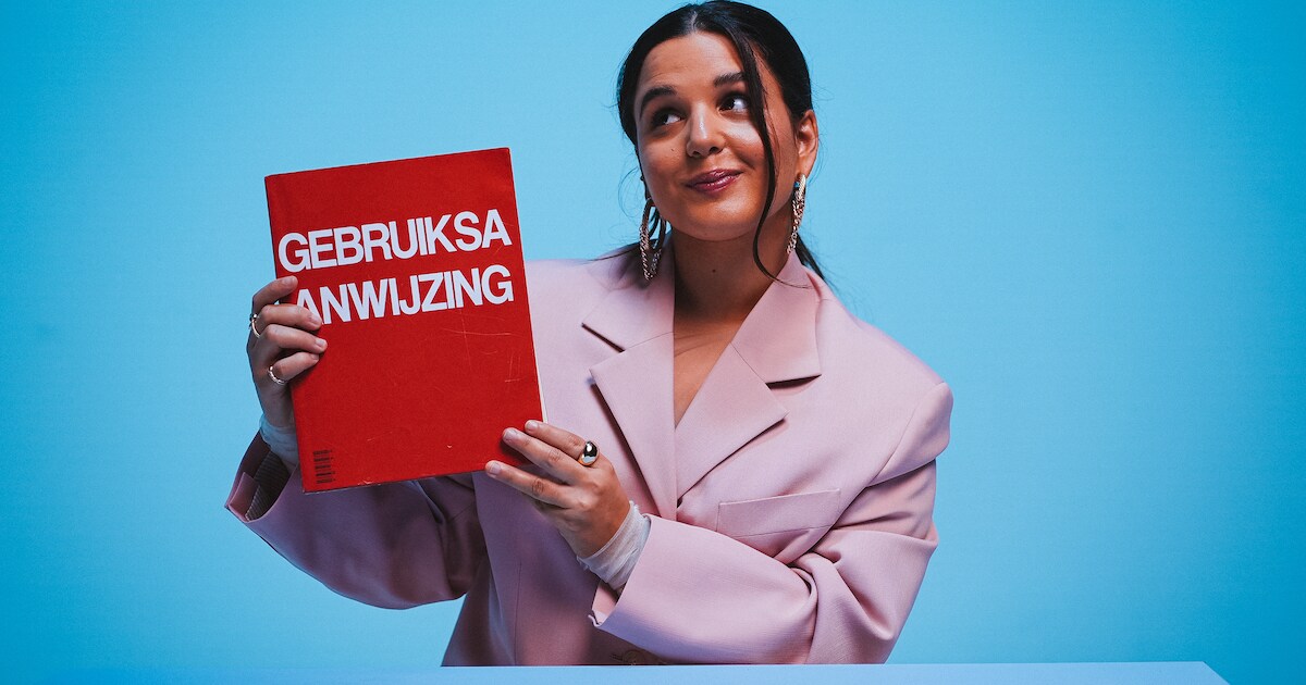 Wereld van zangeres Amina staat op zijn kop sinds Kpop-zanger haar ...