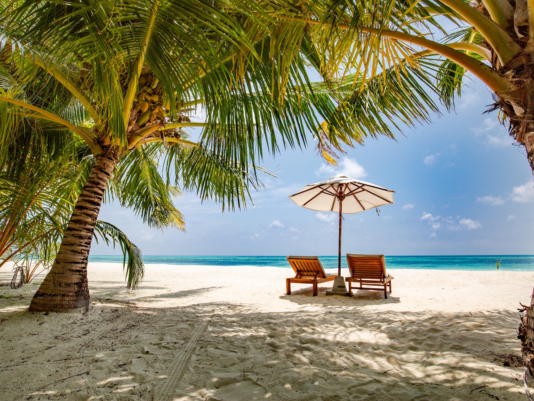 LIVE VS | Trump zegt niet mee te doen als vicepresident bij volgende ...