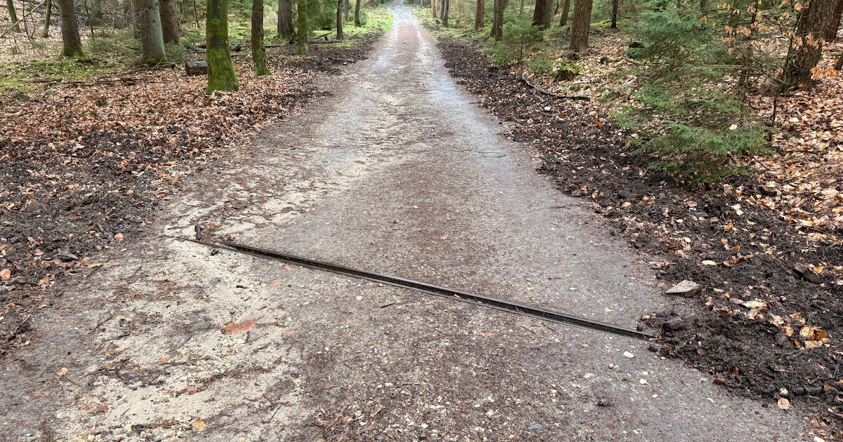 Wat doen die ‘spoorrails’ in de bossen van Landgoed Middachten? | Regio ...