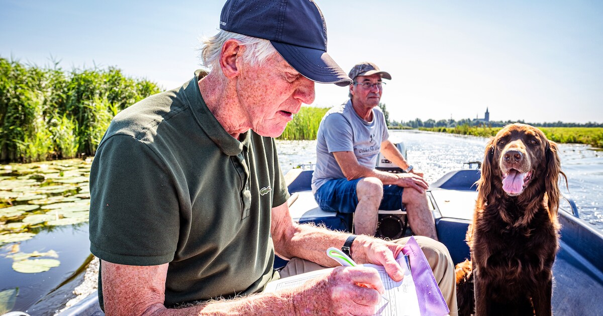 Met een verrekijker, notitieblokje en pen op ganzenjacht: ‘Ze brengen ...