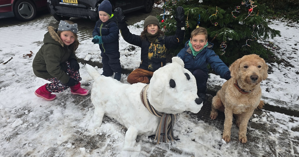 Van slee tot sneeuwhond: dit zijn de leukste sneeuwfoto’s uit Twente ...