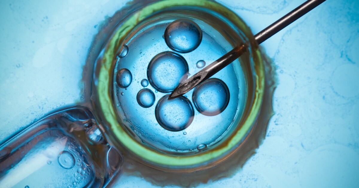 Rechter: homostellen moeten kosten voor ivf-behandeling af kunnen ...