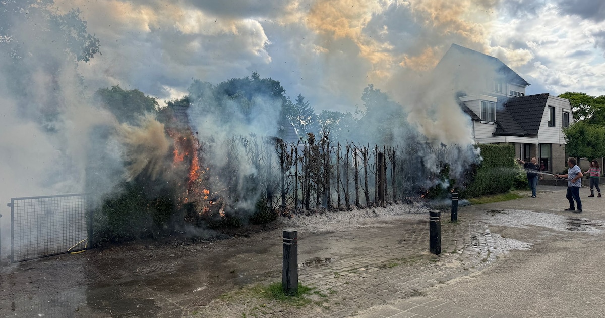 Buurtbewoners helpen brand blussen met tuinslangen in Gemert | Regio ...