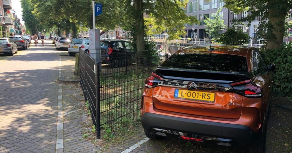 Zo haal je die hardnekkige hars en vogelpoep van je auto | Auto | AD.nl