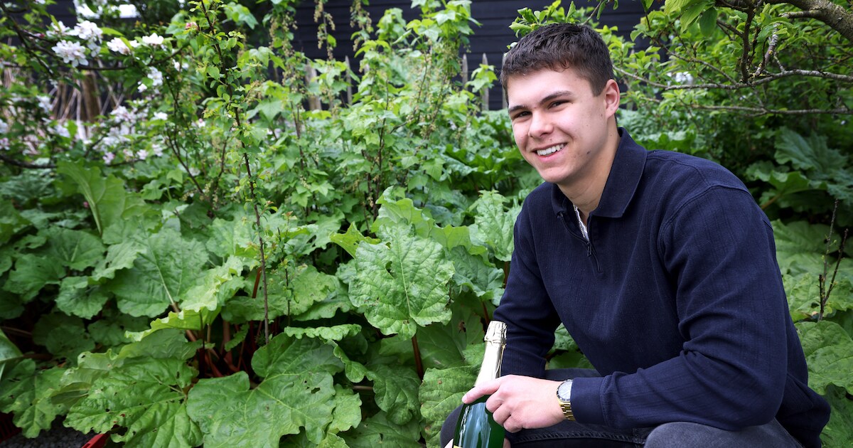 Tim maakt champagne uit eigen tuin: 'Ik maak dit jaar minstens ...