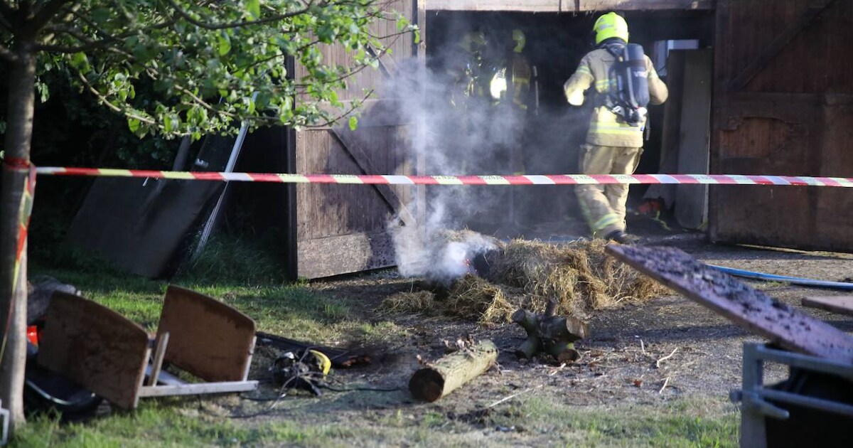 Veel rook bij brand in houten schuur Beemte Broekland | Apeldoorn | AD.nl