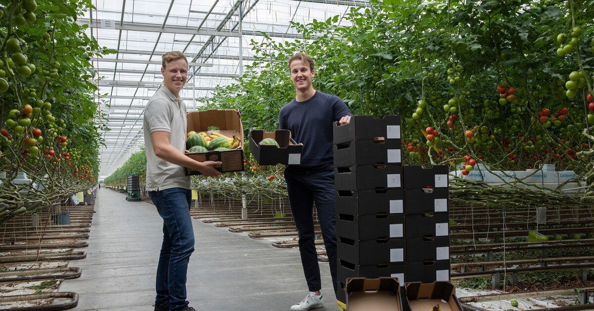 Mace en Tim (20) verkopen fruitabonnementen: ‘Vet om zoveel mensen van ...