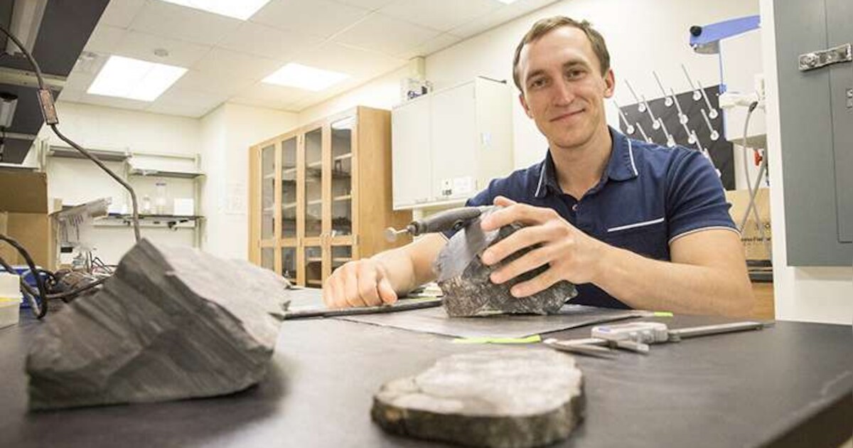 Bomen uit 260 miljoen jaar oud bos op Zuidpool verbazen wetenschappers ...
