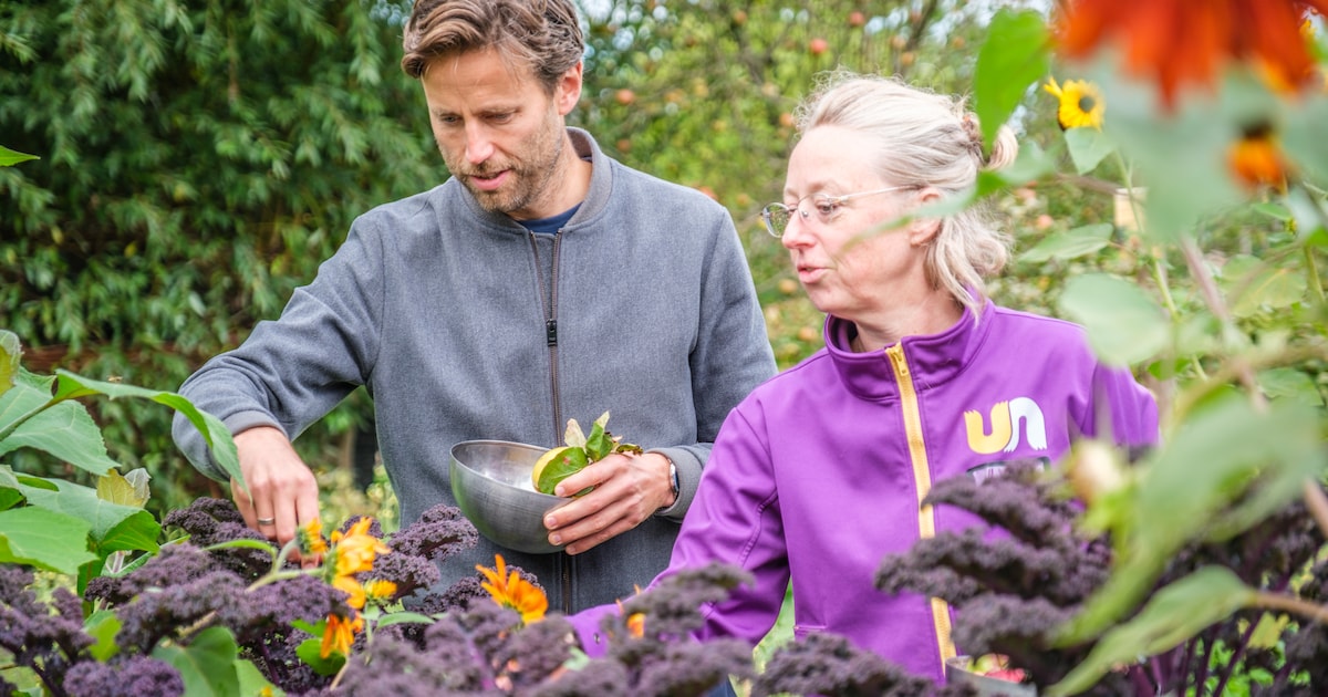 In ‘grootste eetbare wijk van Nederland’ eten steeds meer bewoners van ...