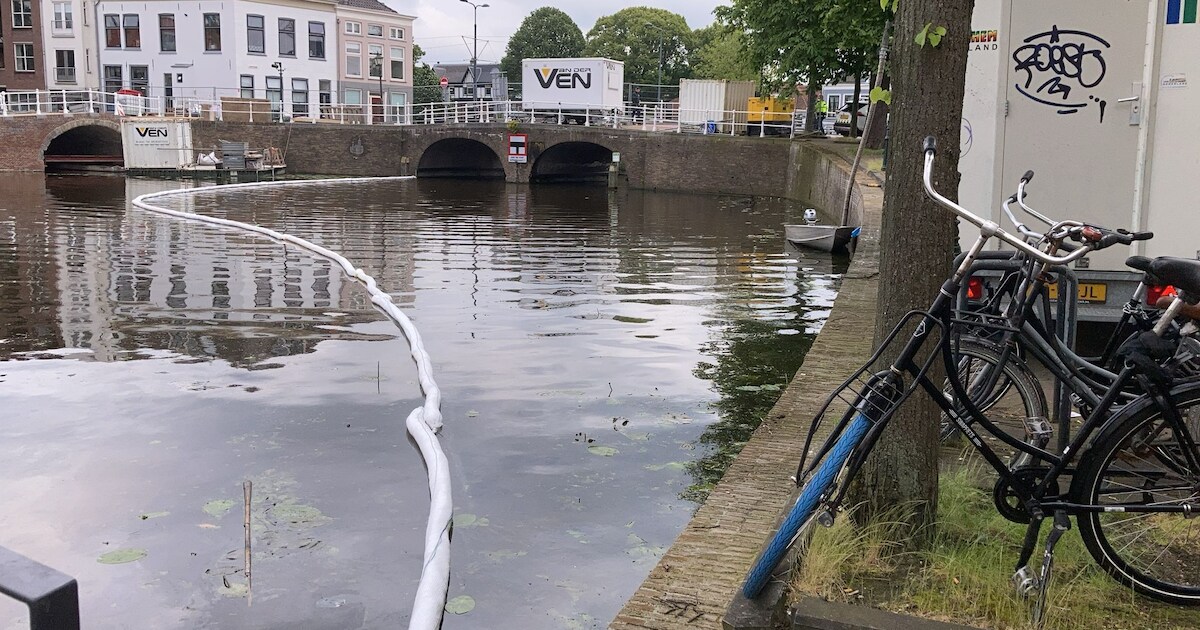 Olie in gracht Delft van vervuild water uit hemelwaterriool, schade ...