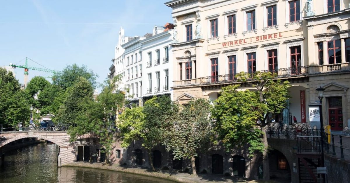 Eén van Utrechts bekendste stadgezichten verandert: vier bomen bij ...