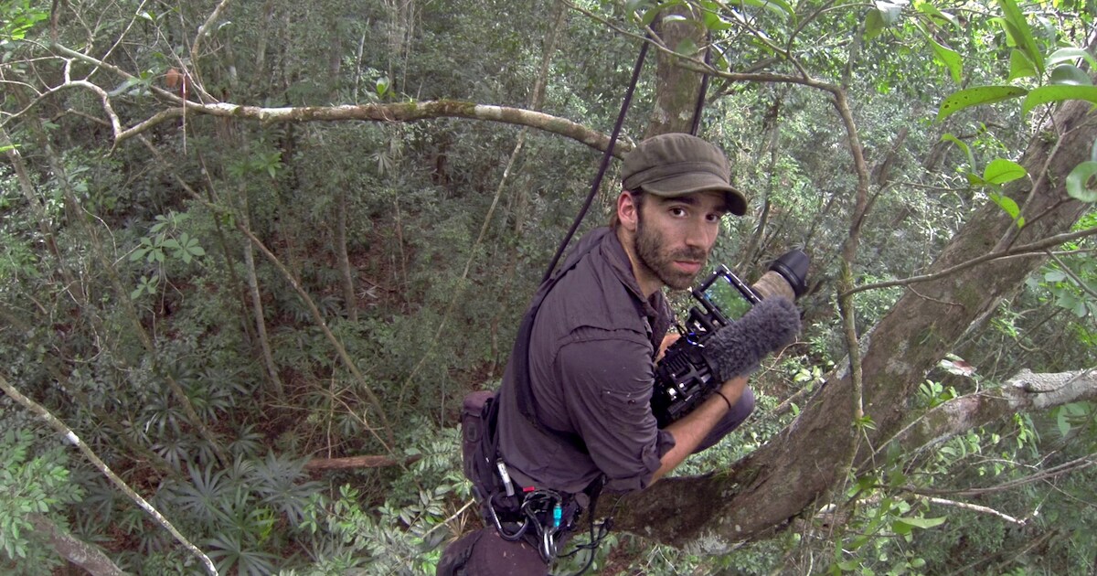 Michael Sanderson maakt film over slingeraapjes | Show | AD.nl