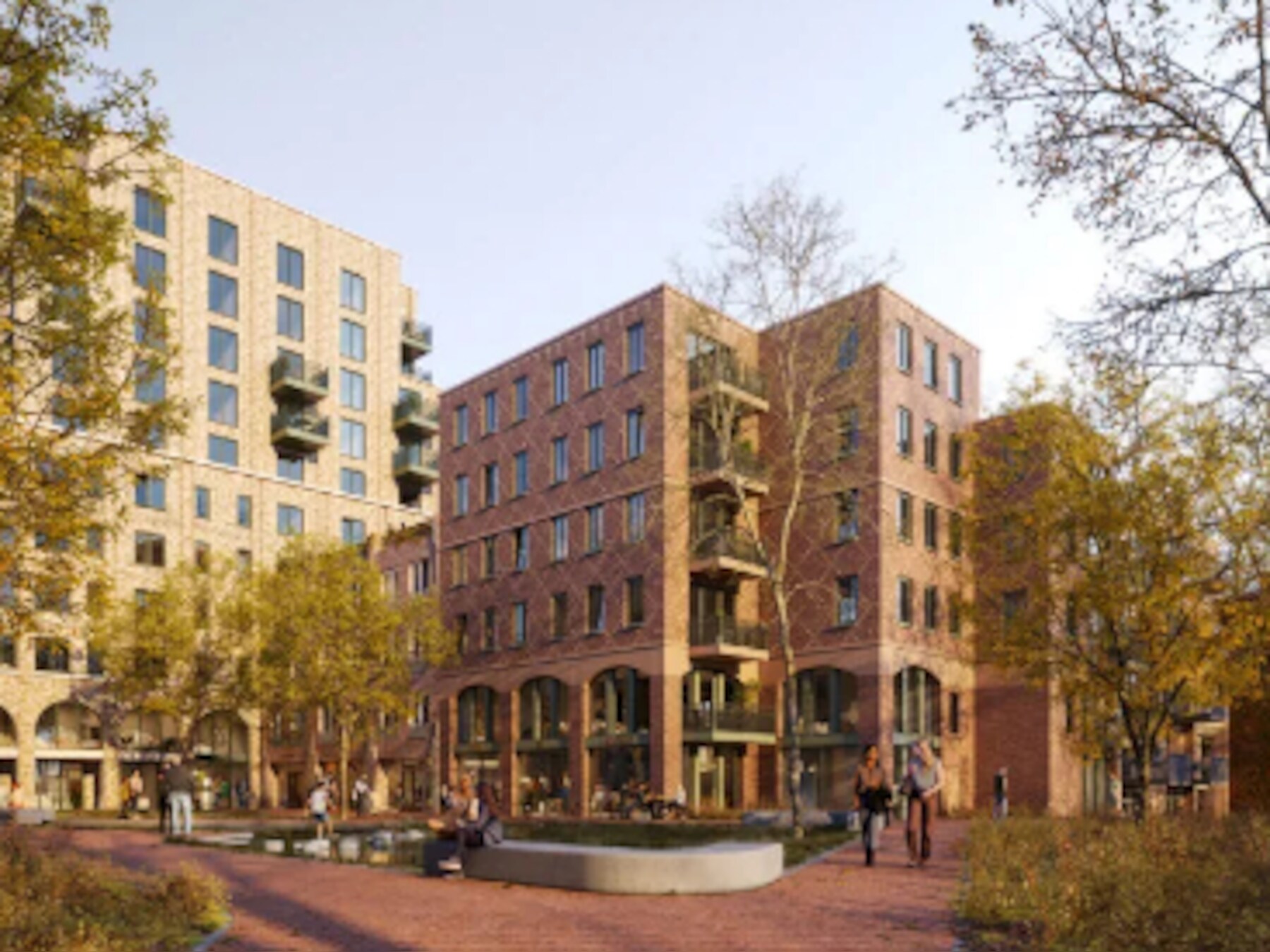 Het Ambachtse Florensis kweekt ruim een miljard jonge plantjes per jaar ...