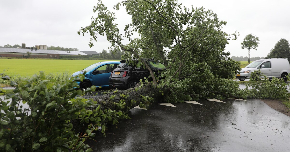 Boom valt op rijdende auto en nog veel andere stormschade in regio ...