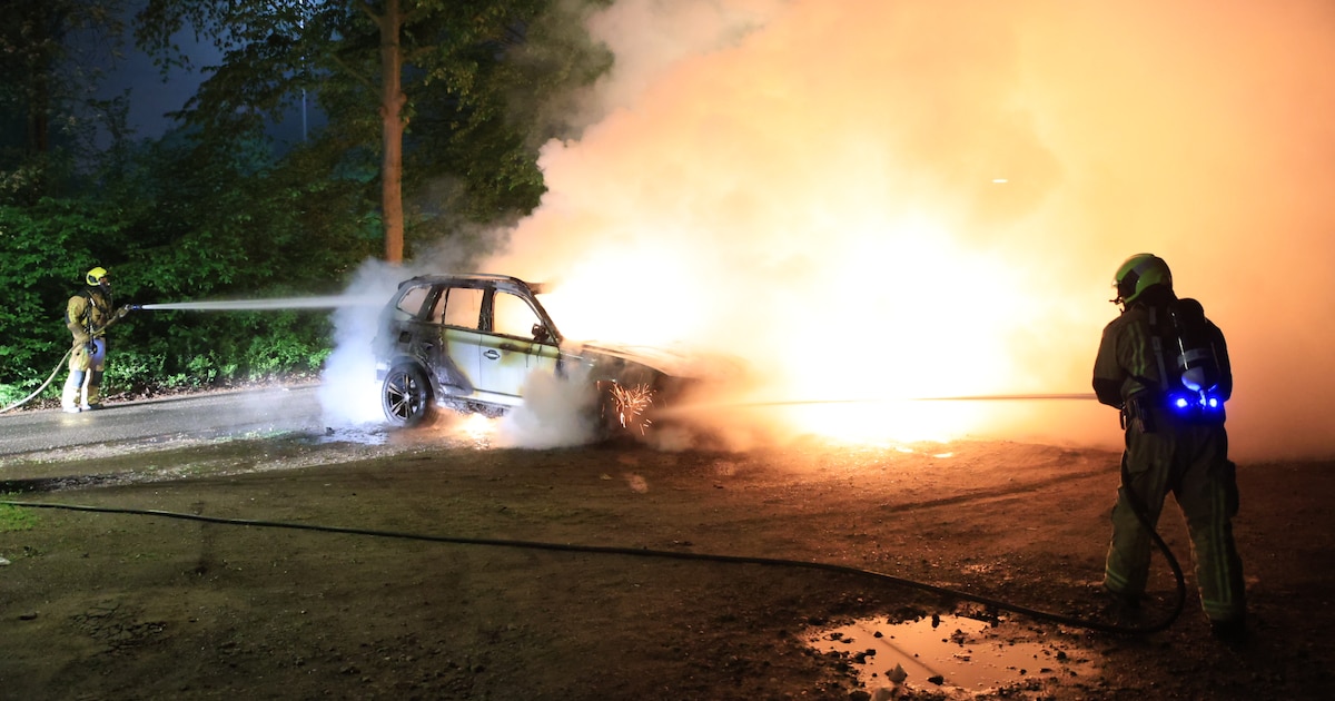 Twee geparkeerde auto's afgebrand bij het Bieslandsepad in Delft ...