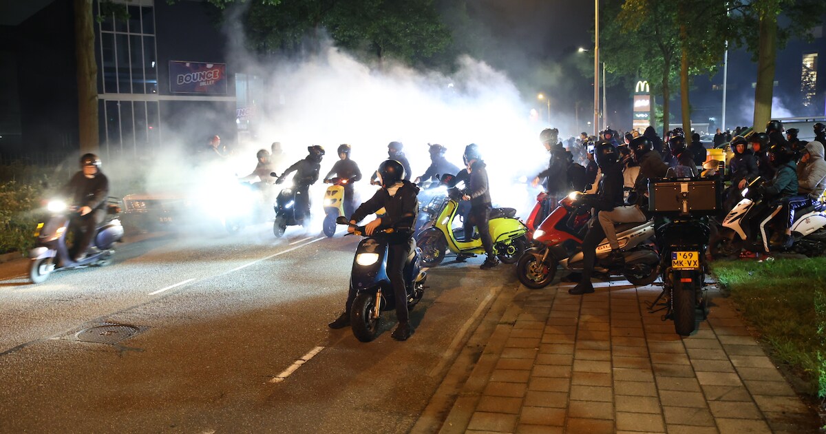 ‘Team Luilak’ laat Delft beven: ‘Wie zich ergert, zoekt voor die ...