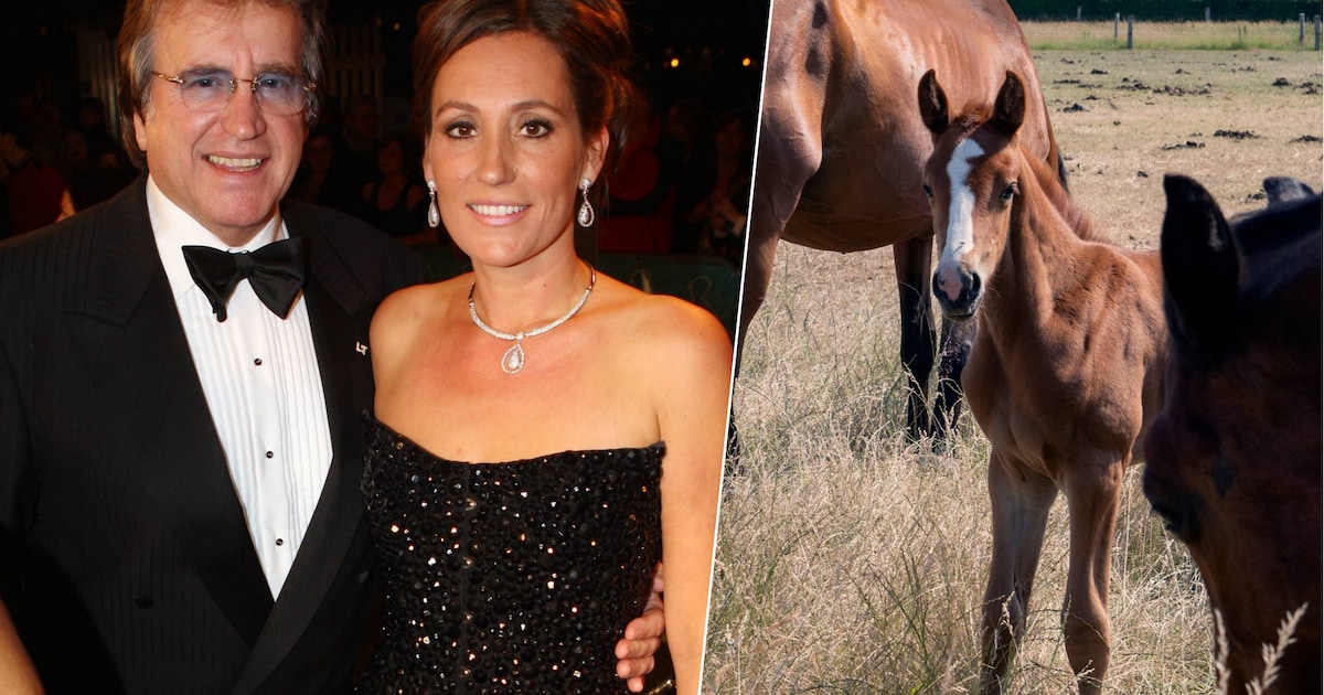 Fiod doet inval bij paardenfokkerij van dochter Lee Towers | Show | AD.nl