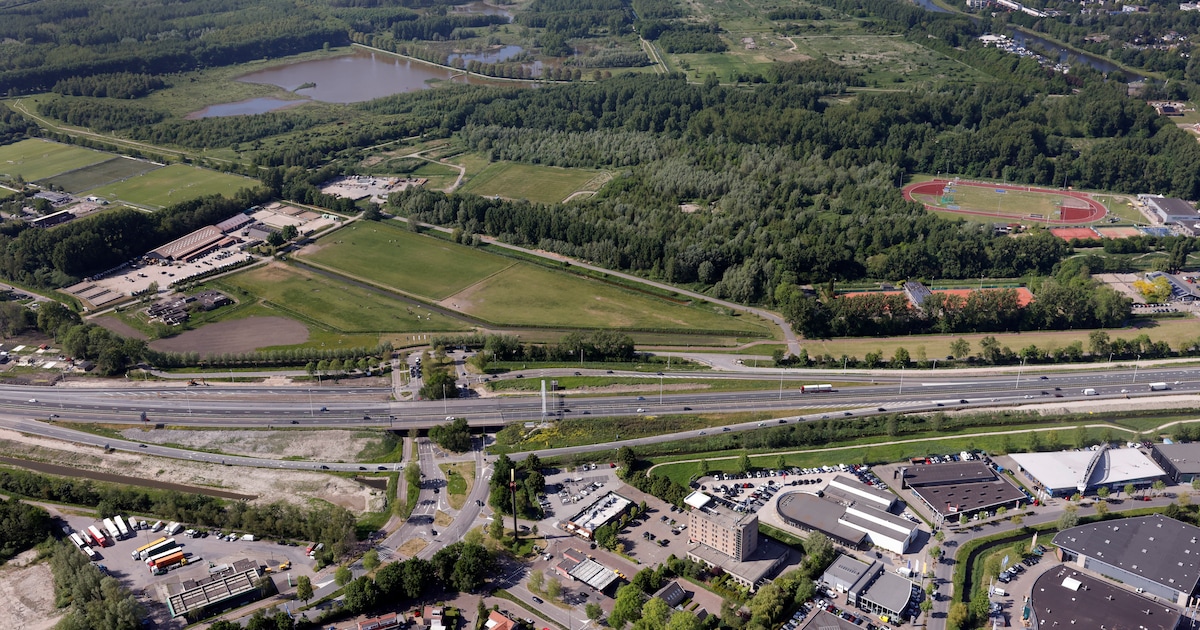 Plan om meer bomen te behouden bij sanering van natuurgebied in ...