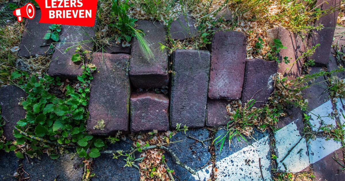 Reacties op valpartijen 90-plussers: ‘Ouderen struikelen over ...