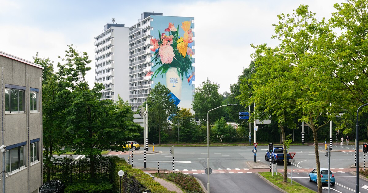 Muurschildering blijkt splijtzwam in Bredase wijk: ‘Onwenselijk en ...