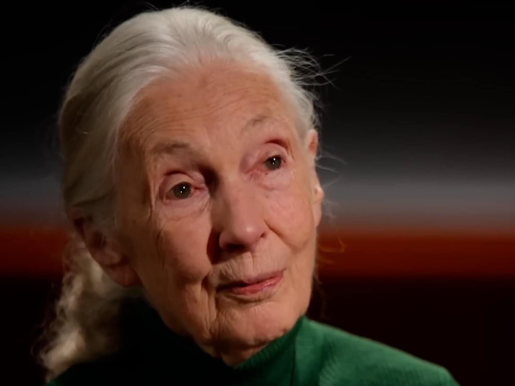 Plien & Bianca maken met Harrekidee! hun beste voorstelling in jaren ...